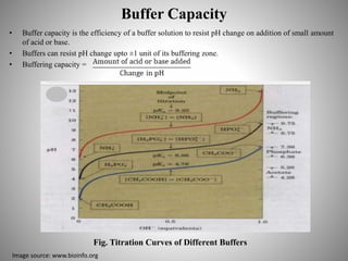 Presentation on Buffer | PPTX