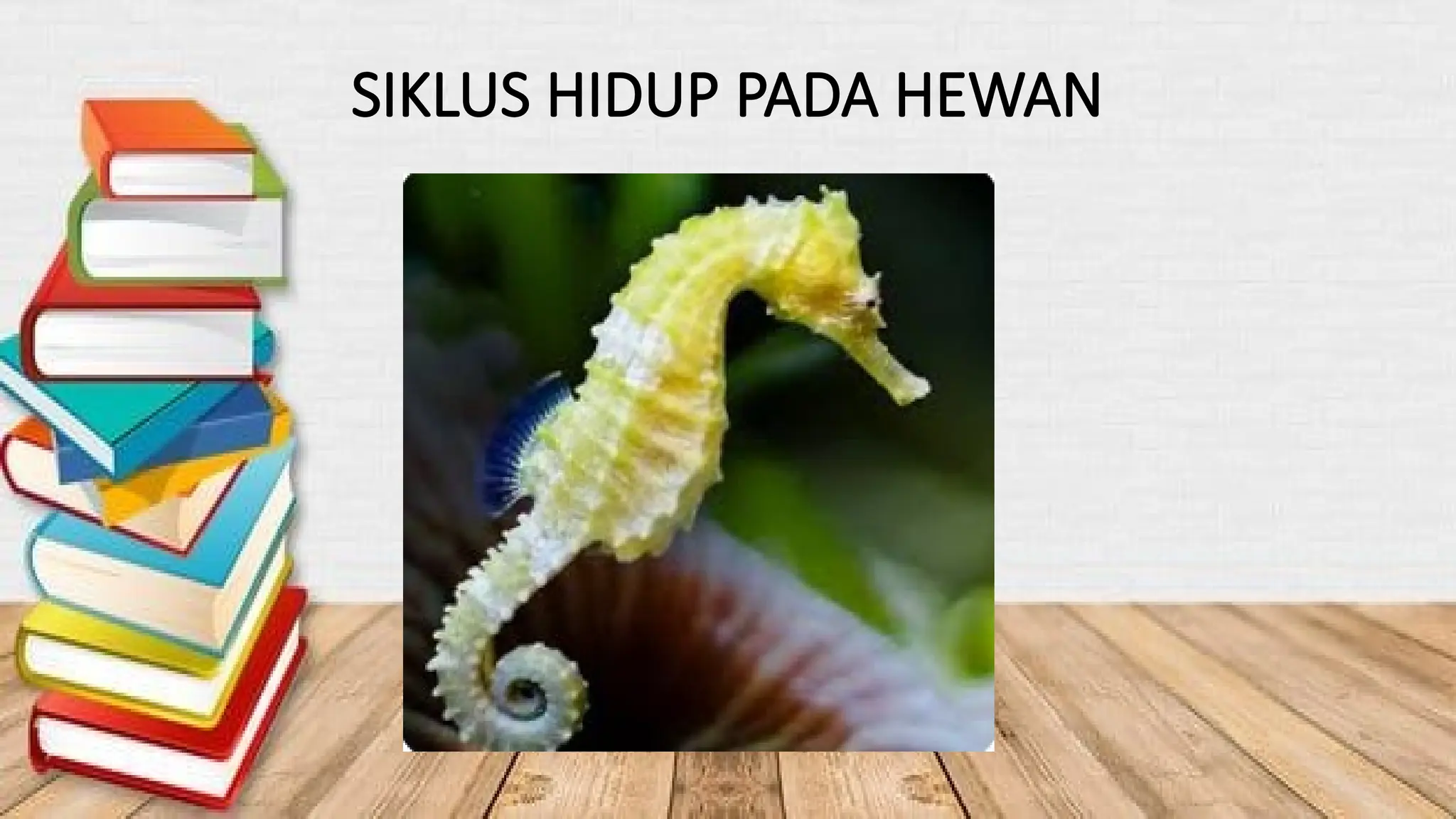 Siklus Pada Makhluk Hidup Untuk Kelas 3 Kurikulum Merdeka.pptx