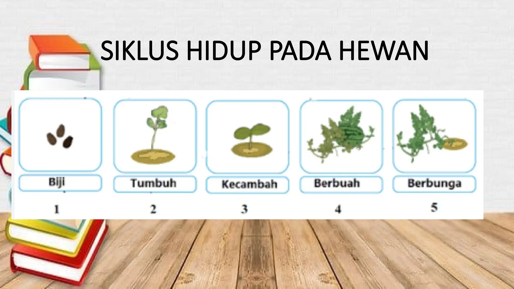 Siklus Pada Makhluk Hidup Untuk Kelas 3 Kurikulum Merdeka.pptx