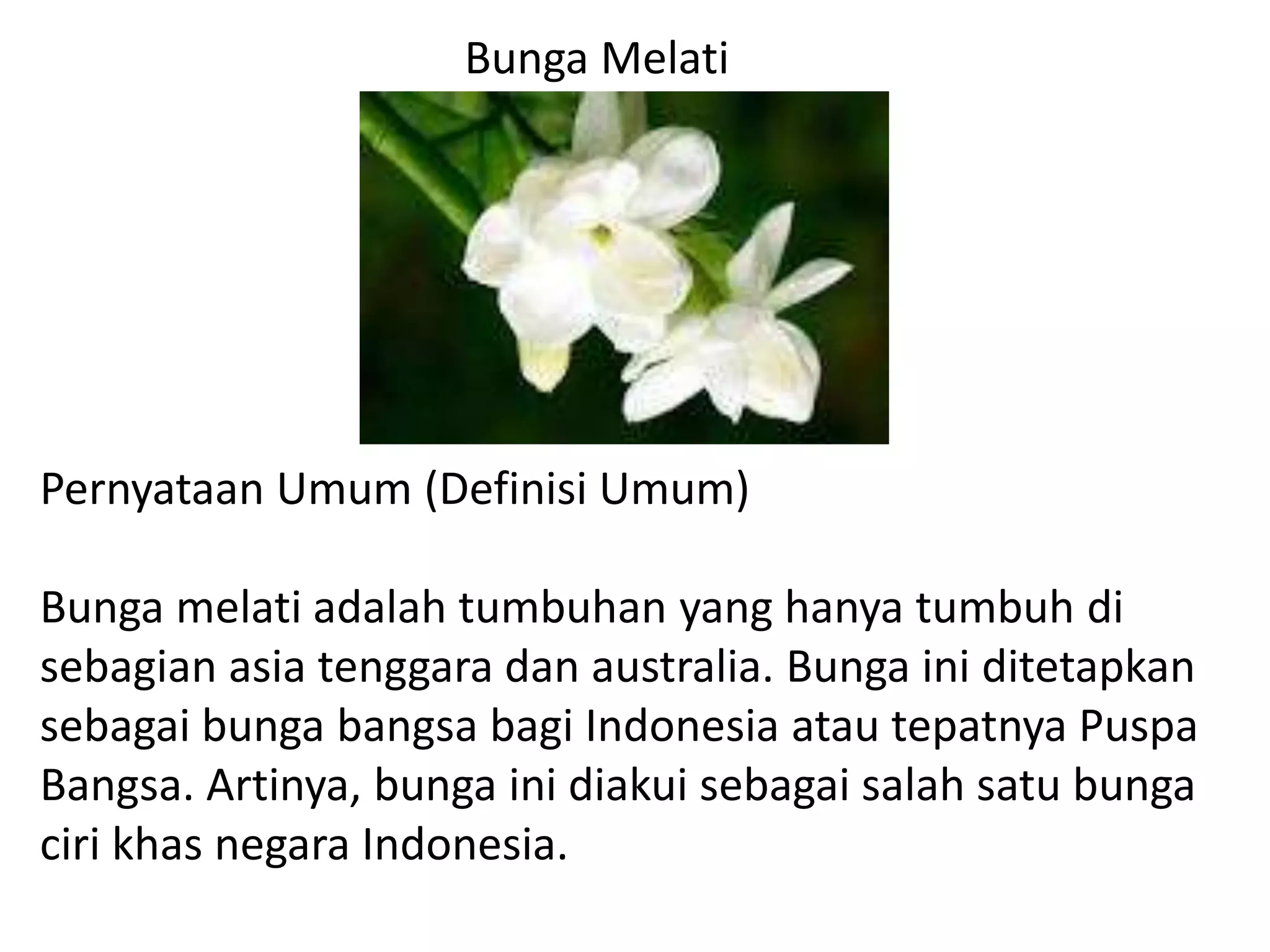 PPT Bunga Melati Kelompok 3 kelas X AKL 2.pptx