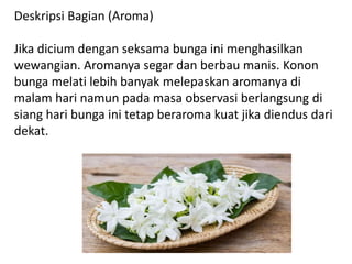 PPT Bunga Melati Kelompok 3 kelas X AKL 2.pptx