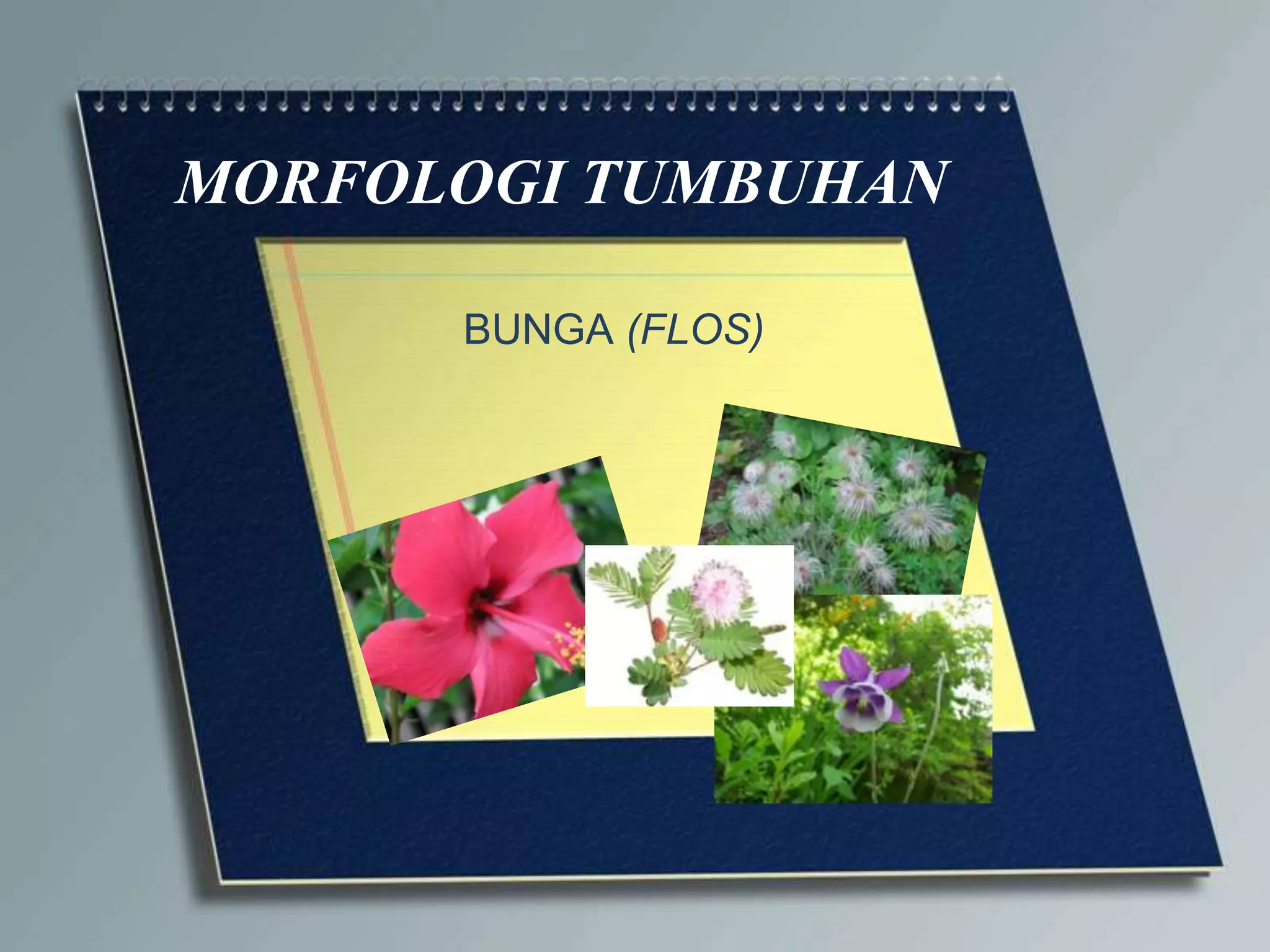 Ppt bunga tugas tik | PPTX