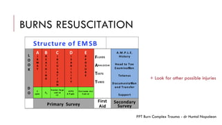 ppt tatalaksana luka bakar dan penanganan curative .pdf