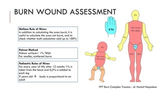 ppt tatalaksana luka bakar dan penanganan curative .pdf