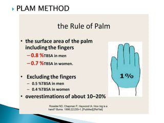 ppt burns.pptx | First Aid | Injuries