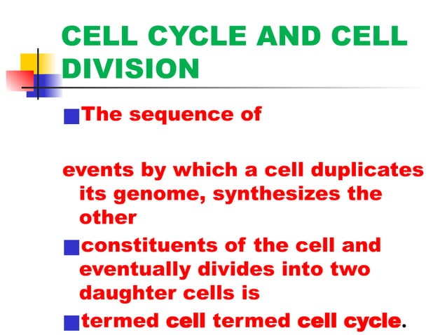 Biology PPT cell division and cell cycle | PPTX