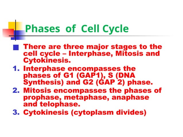 Biology PPT cell division and cell cycle | PPTX