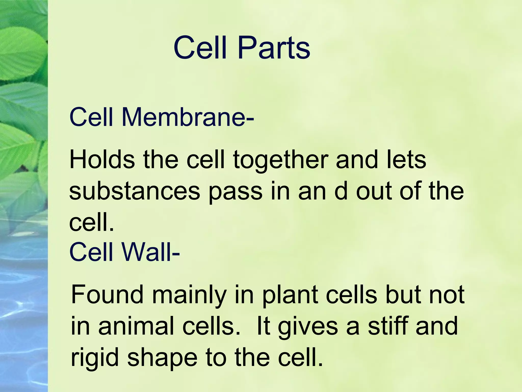 Ppt on plant and animal cell | PPT