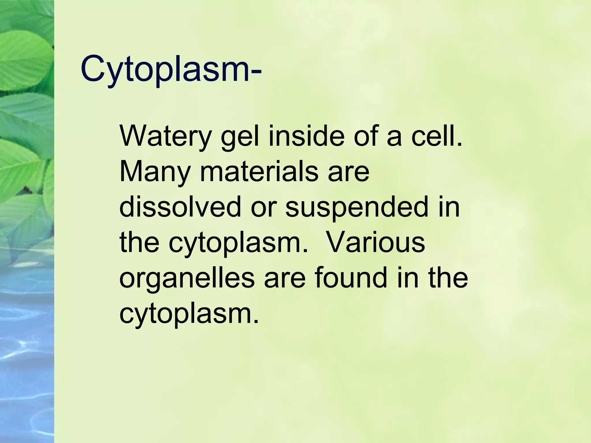 Ppt on plant and animal cell | PPT