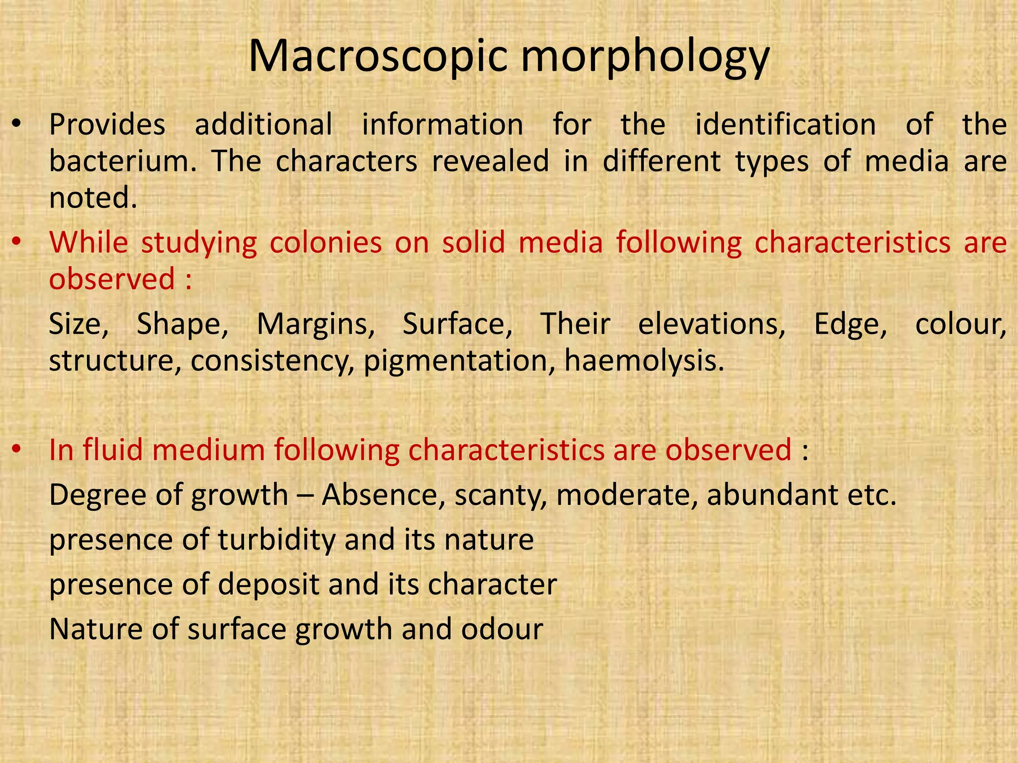 identification of bacteria | PPTX