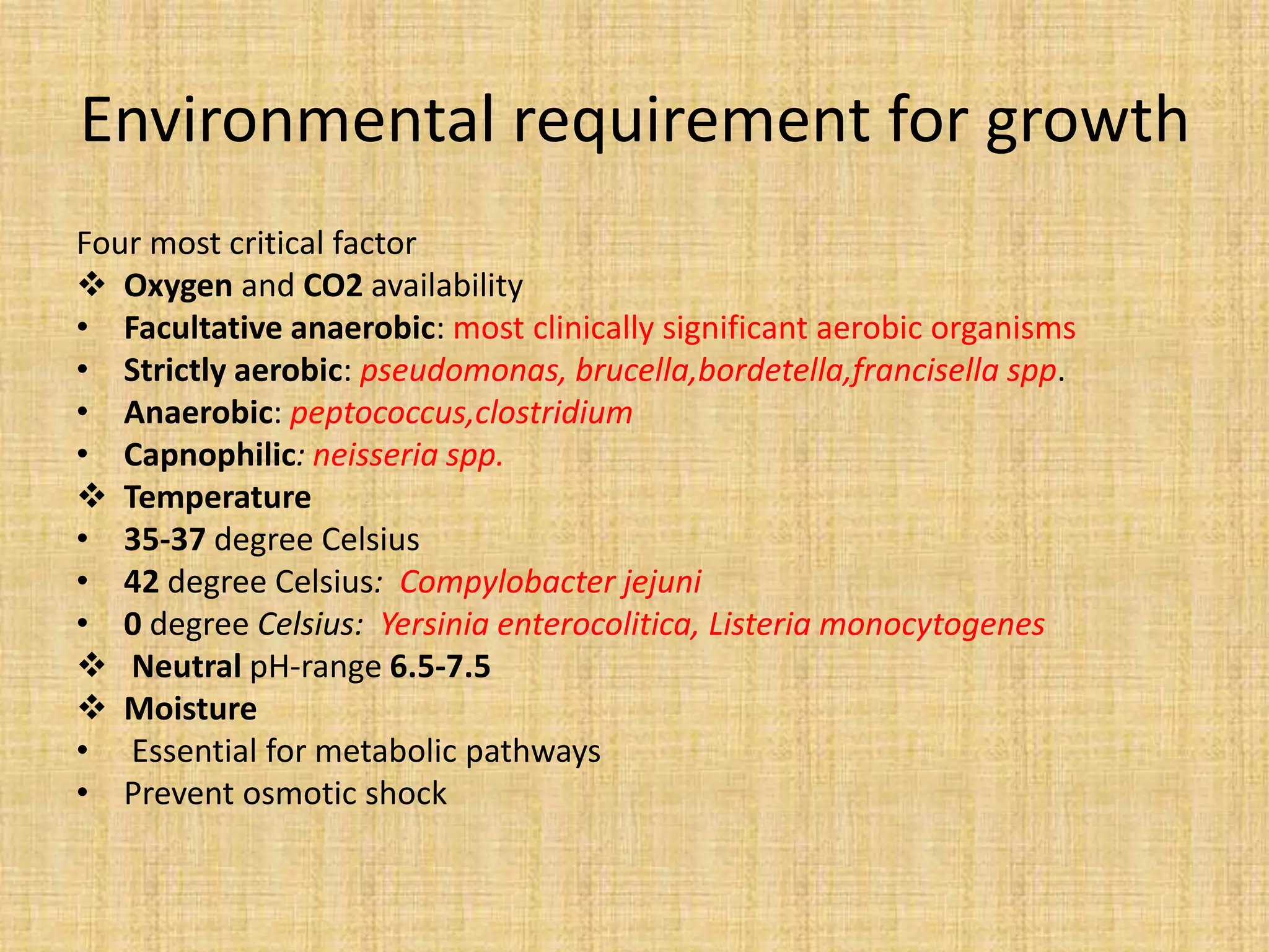 identification of bacteria | PPTX