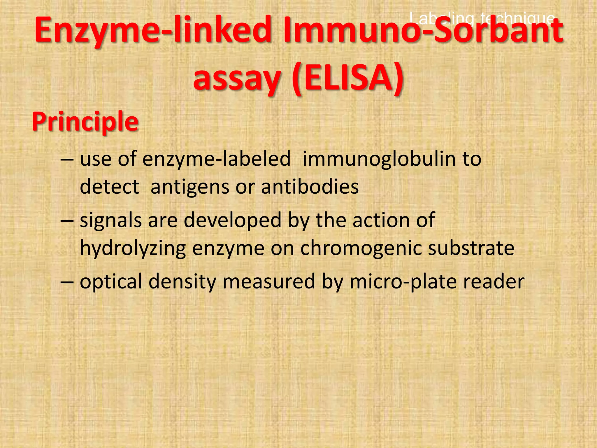 identification of bacteria | PPTX