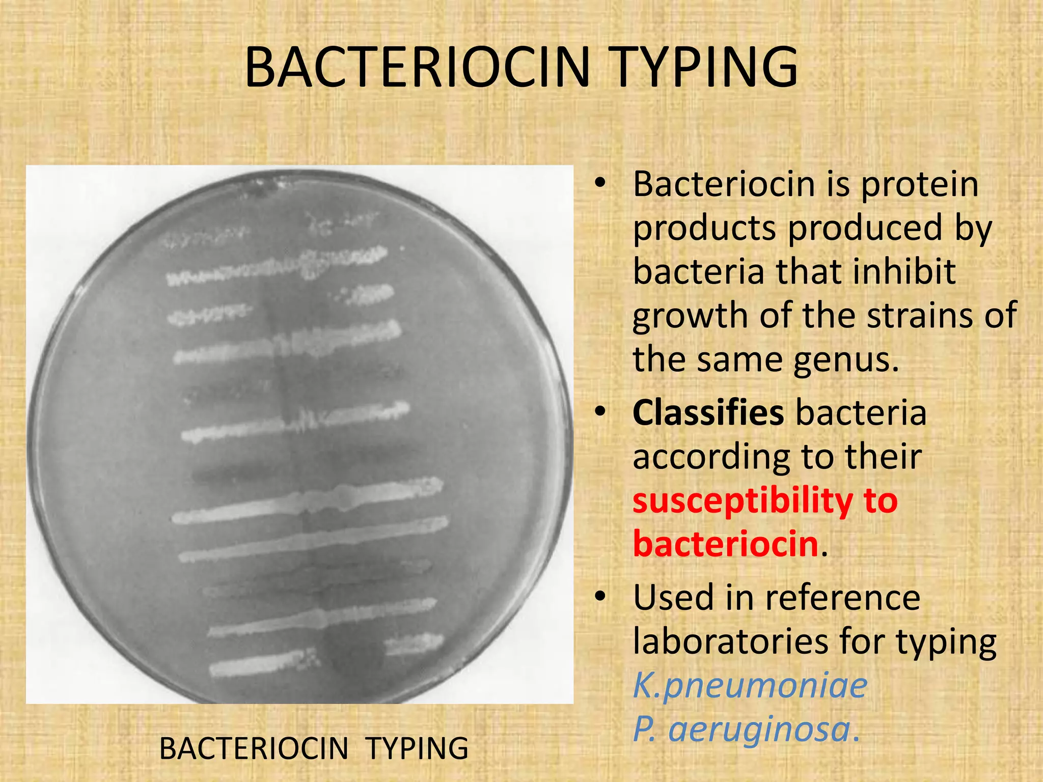 identification of bacteria | PPTX