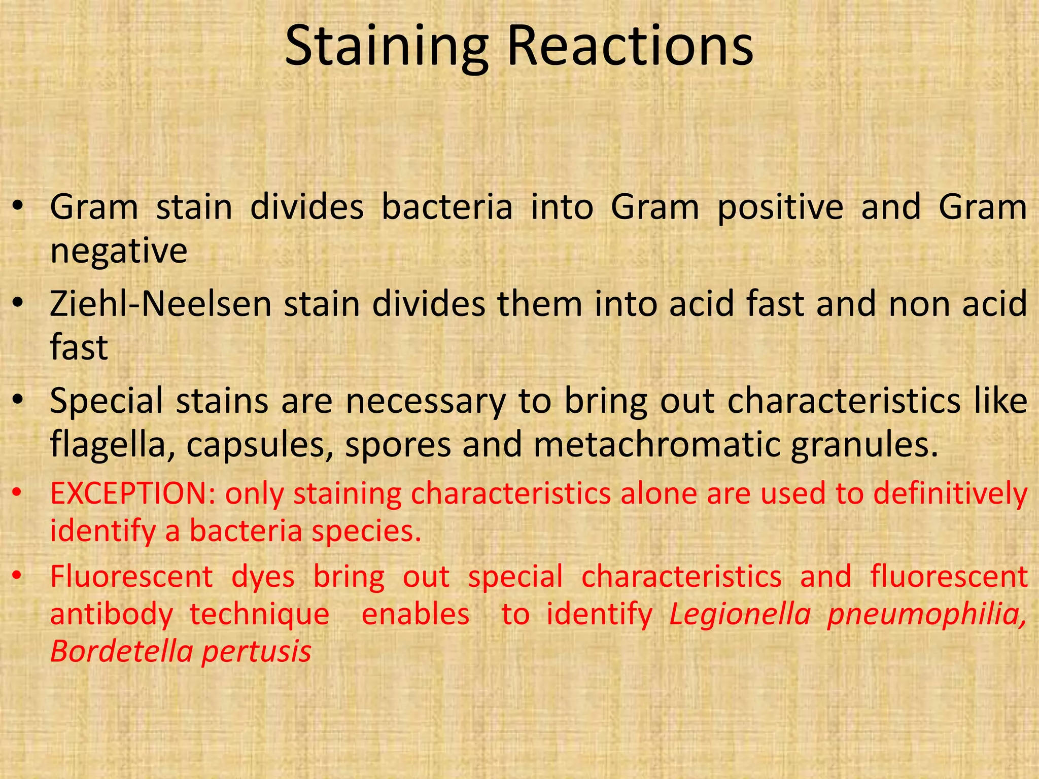 identification of bacteria | PPTX