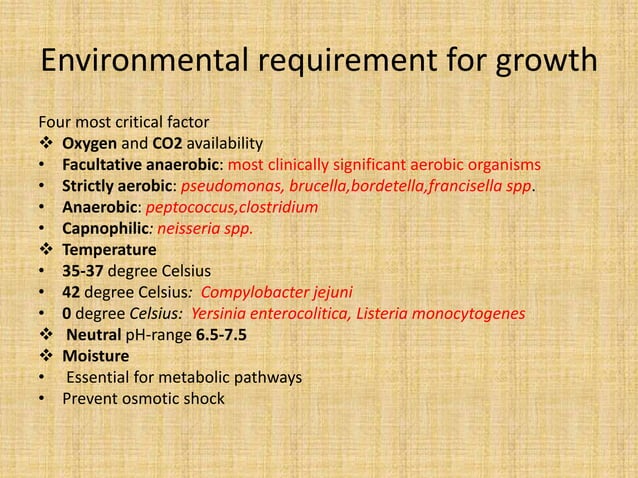 identification of bacteria | PPTX | Infectious Diseases | Diseases and ...
