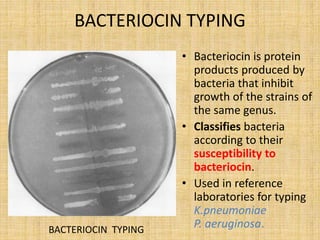 identification of bacteria | PPTX