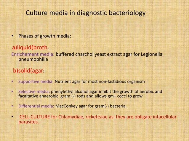 identification of bacteria | PPTX | Infectious Diseases | Diseases and ...