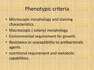 identification of bacteria | PPTX