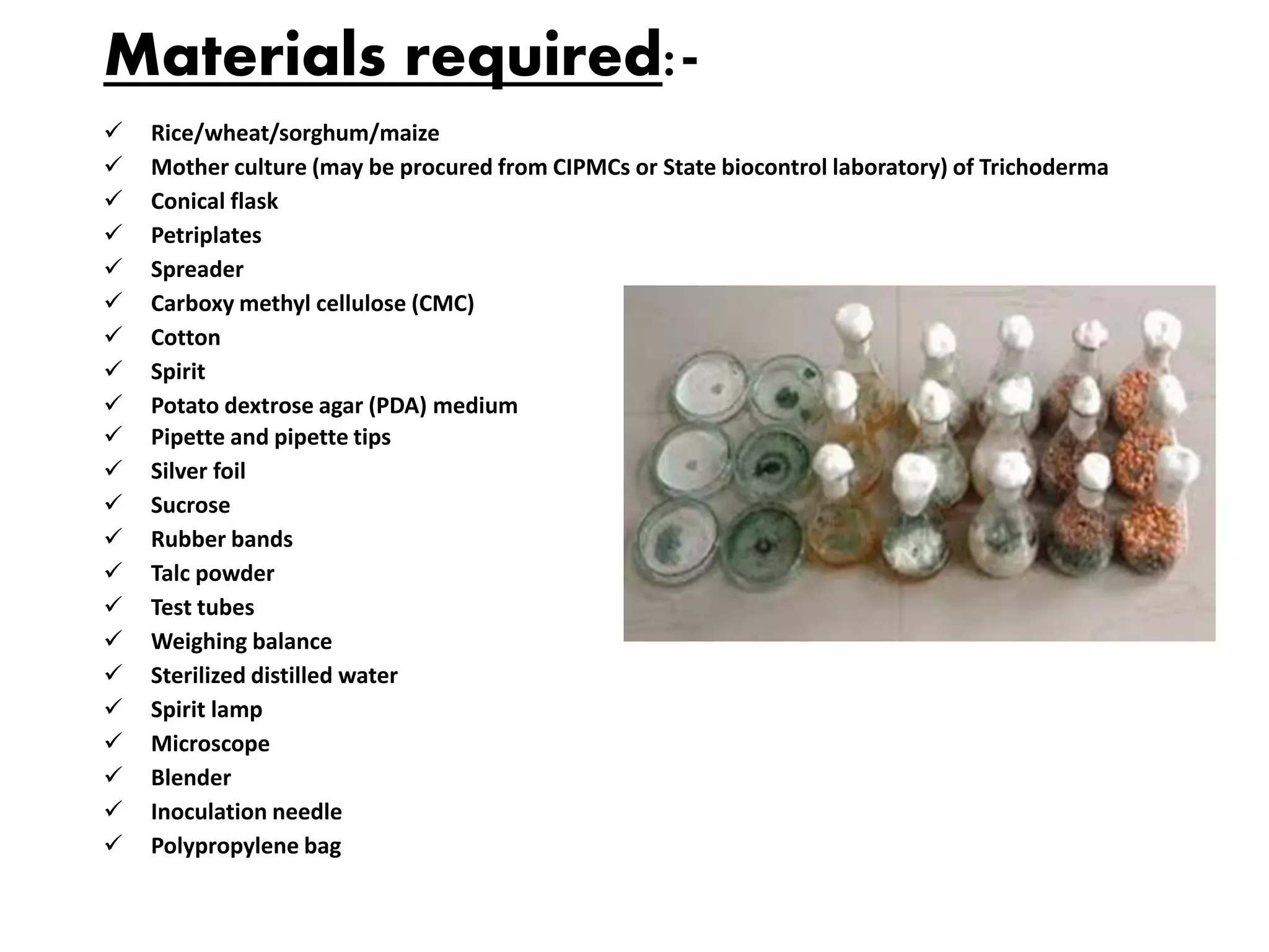 Mass Production of Trichoderma | PPTX