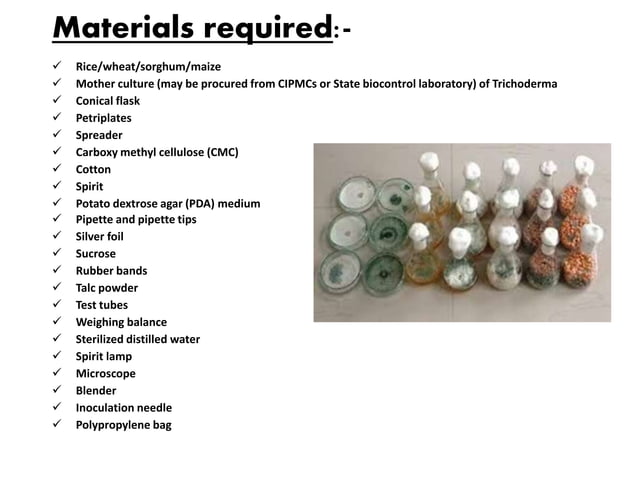Mass Production of Trichoderma | PPTX | Gardening | Home & Garden
