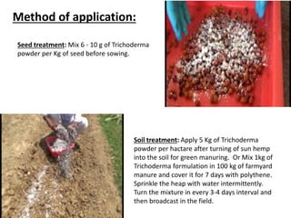 Mass Production of Trichoderma | PPTX