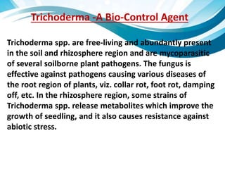 Mass Production of Trichoderma | PPTX