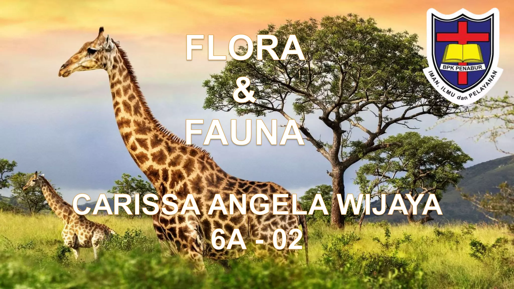 PPT CACA (3) (1).pdf | Free Download