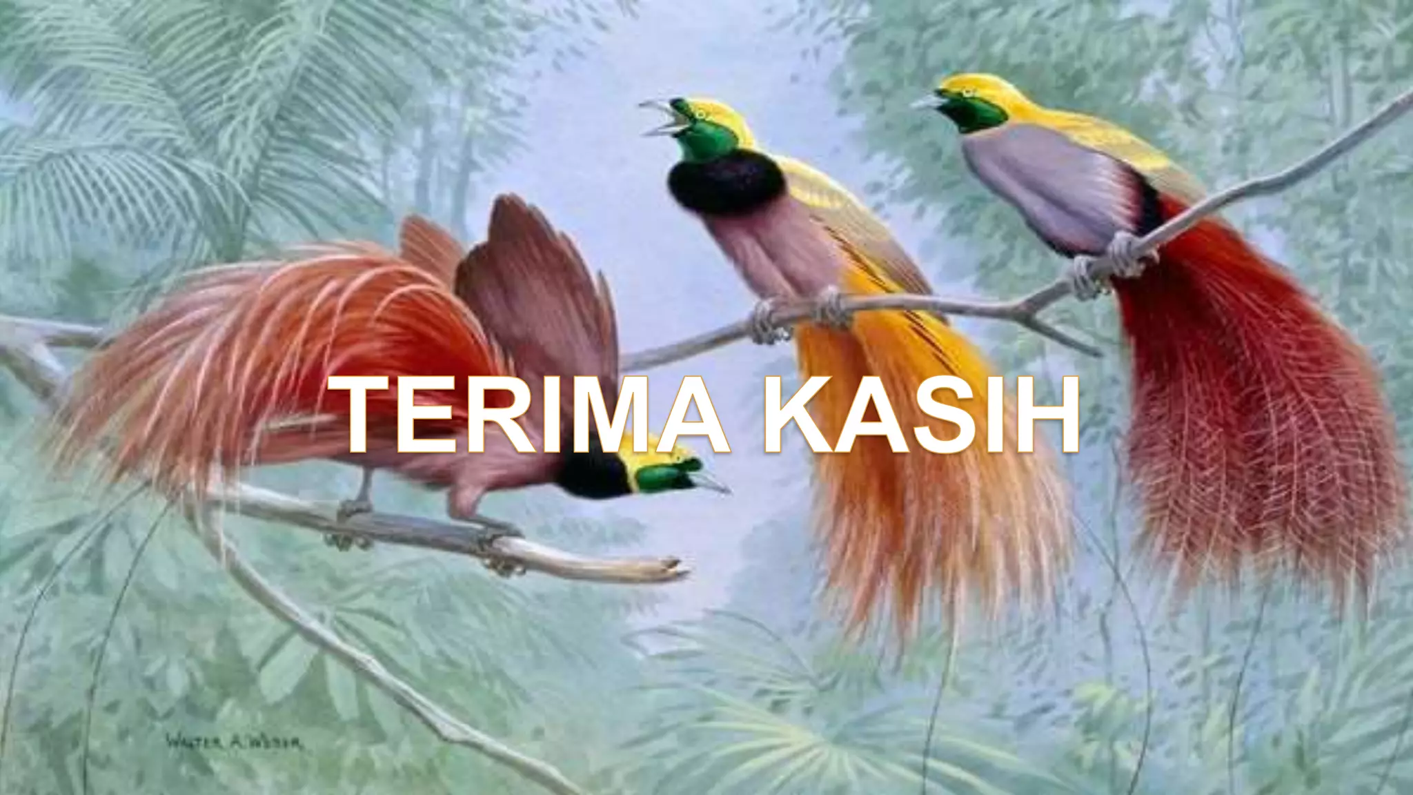 PPT CACA (3) (1).pdf