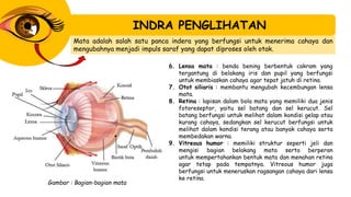 PPT CAHAYA DAN ALAT OPTIK.pptx