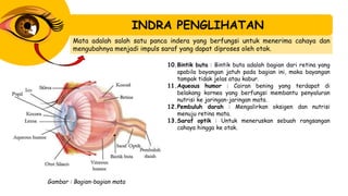 PPT CAHAYA DAN ALAT OPTIK.pptx