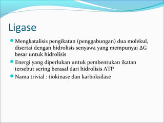 Ppt cara penamaan enzim kel 3 | PPT