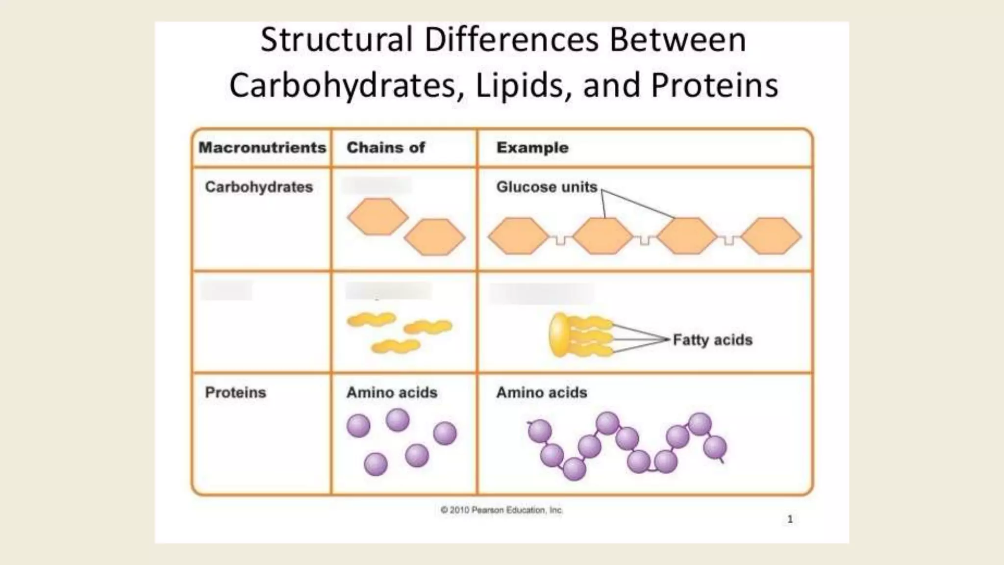 PPT CARBOHYDRATES, FATS, AND PROTEINS 31 AUGUST 2022 FULL.pptx