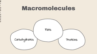 PPT CARBOHYDRATES, FATS, AND PROTEINS 31 AUGUST 2022 FULL.pptx