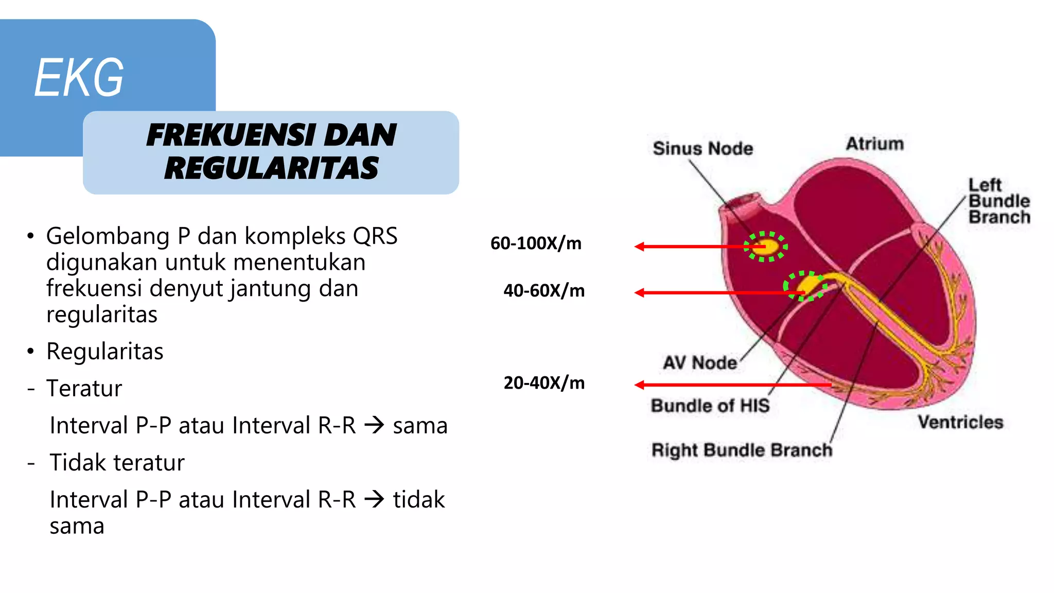 PPT CARDIO - EKG.pptx
