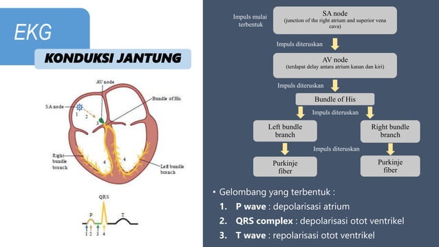 PPT CARDIO - EKG.pptx