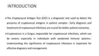 PPT CAT PRES (1).pptx