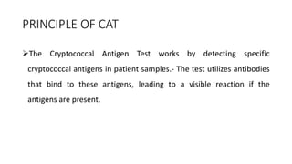 PPT CAT PRES (1).pptx