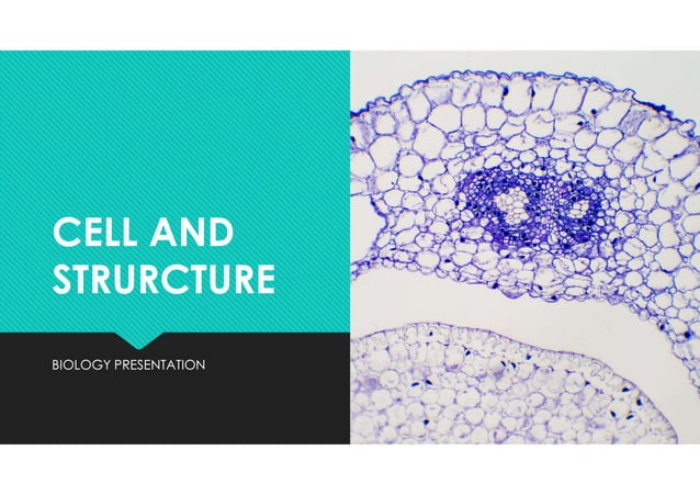 cell and strurcture atom form power point | PDF