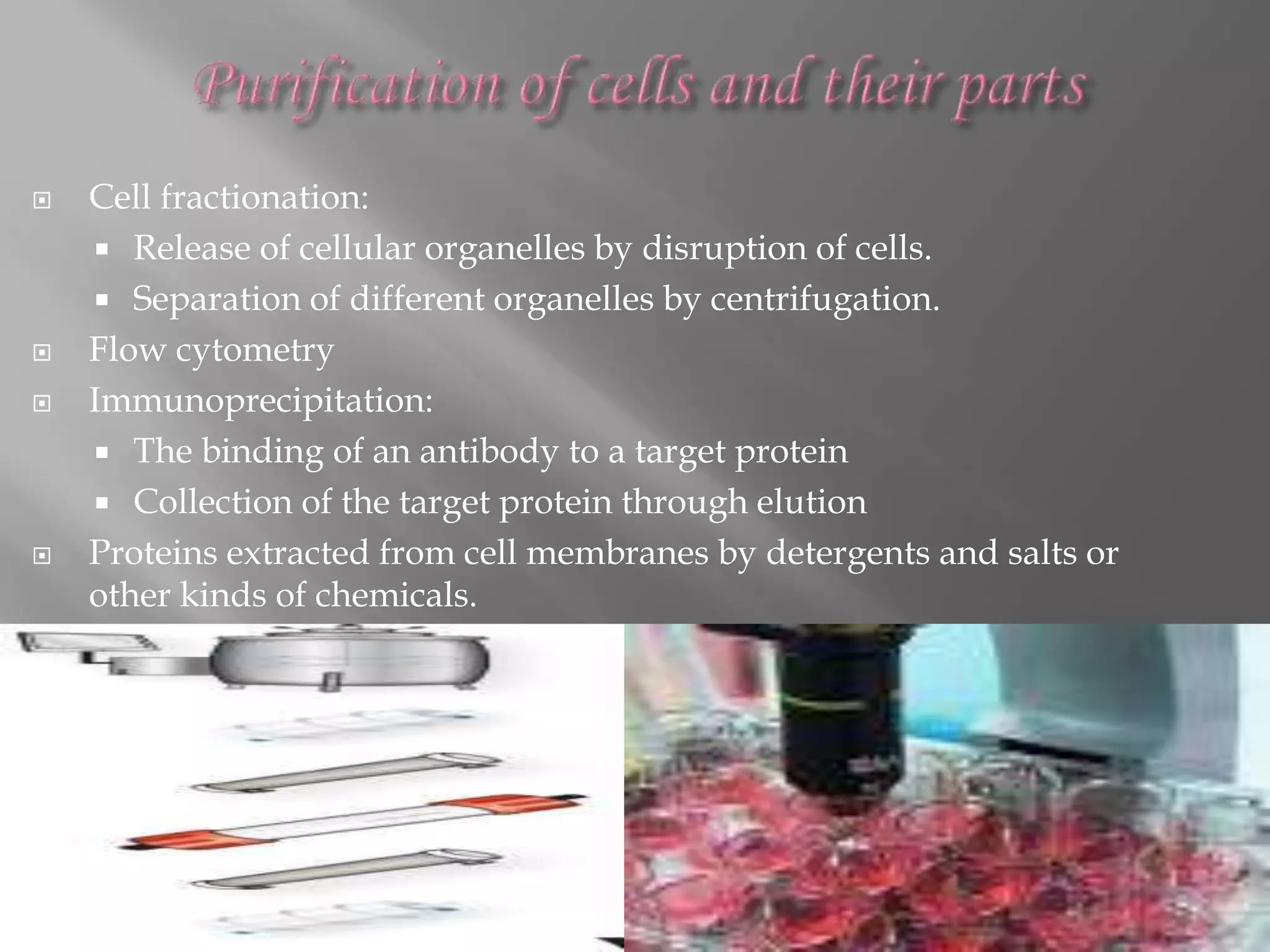 Austin Cell Biology | PPTX