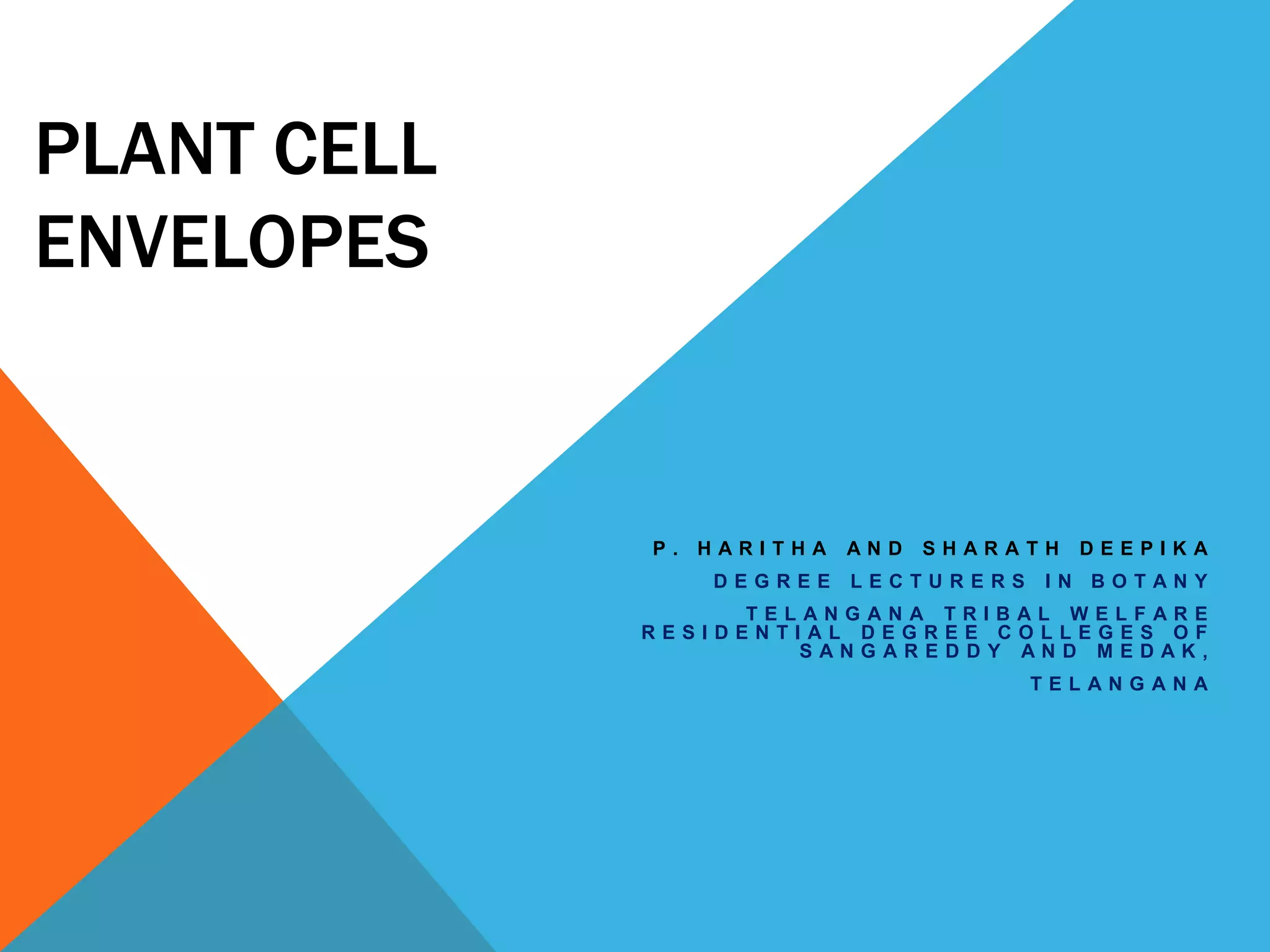 plant cell envelopes | PPT