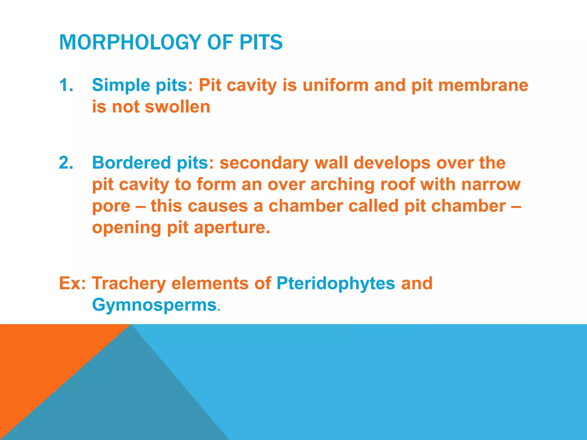 plant cell envelopes | PPT