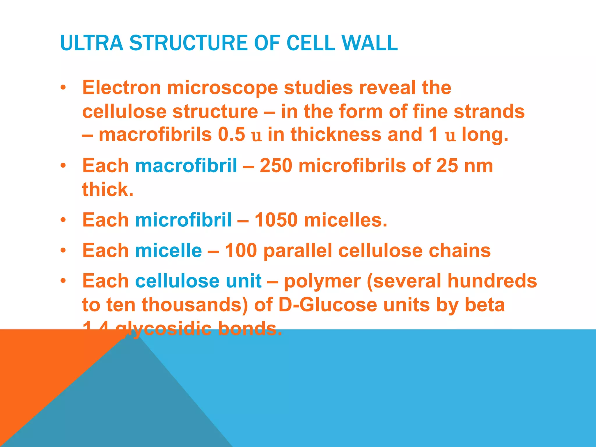 plant cell envelopes | PPT