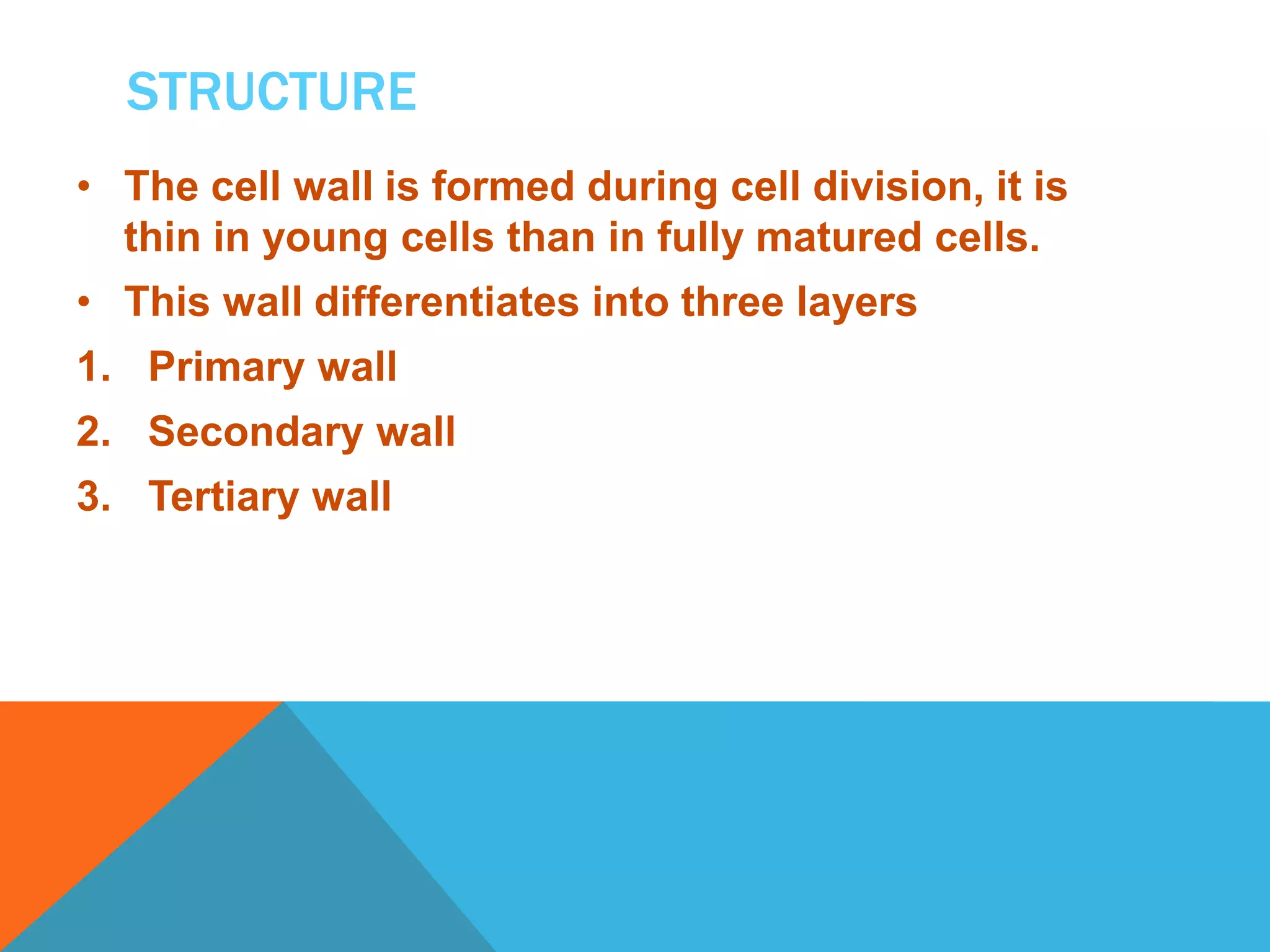plant cell envelopes | PPT
