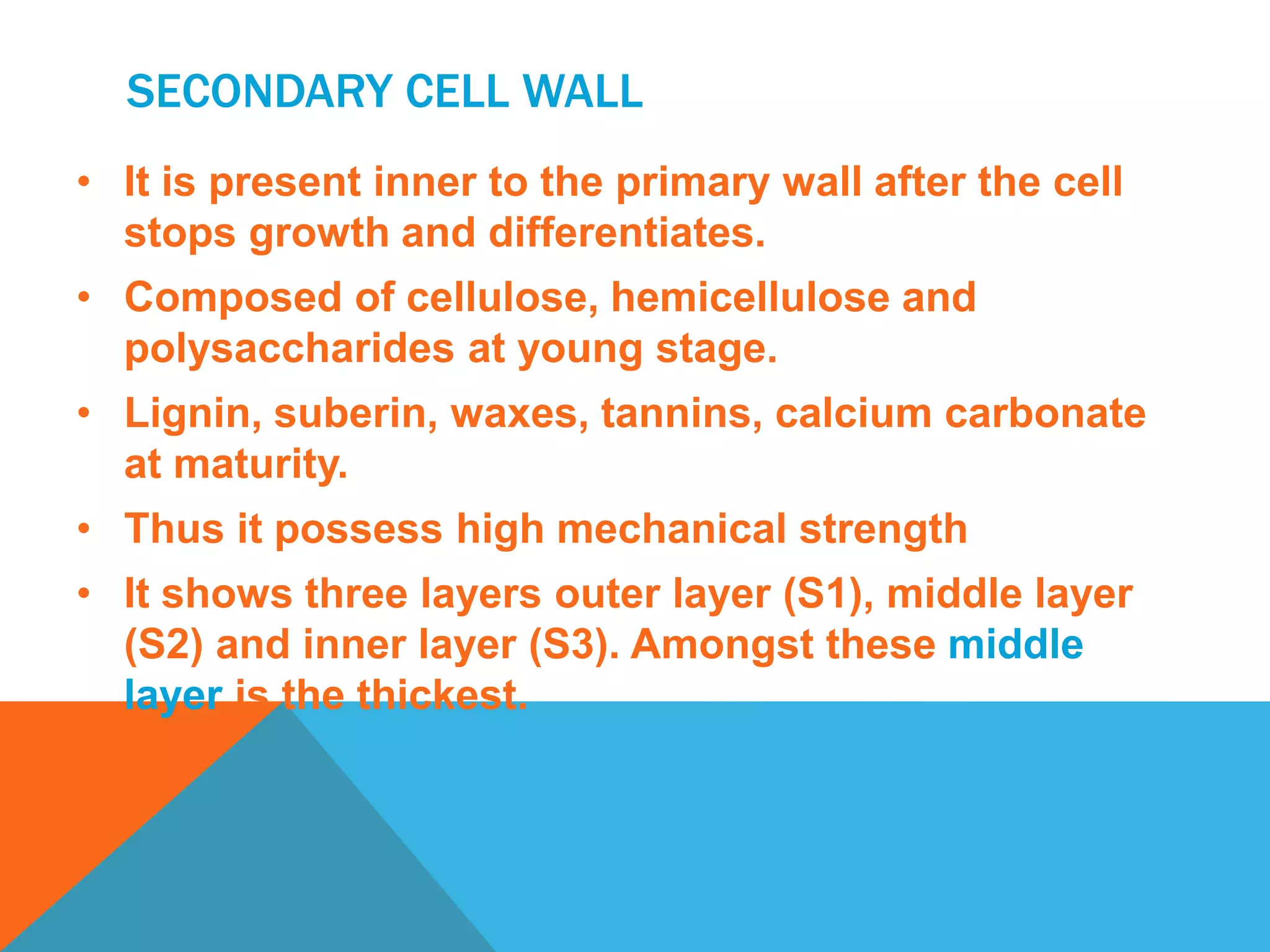 plant cell envelopes | PPT