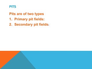plant cell envelopes | PPT