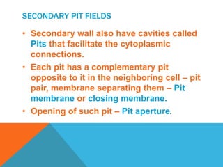plant cell envelopes | PPT