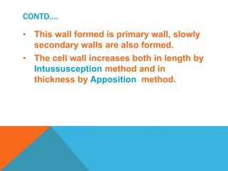 plant cell envelopes | PPT