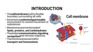 Fluid Mosaic Model: Cell Membrane Intro! | PDF