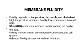 Fluid Mosaic Model: Cell Membrane Intro! | PDF