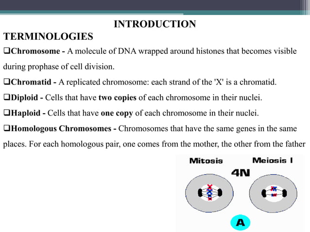 Cell division | PPT